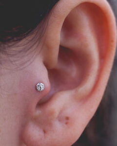 Piercing Services - Mint Piercing